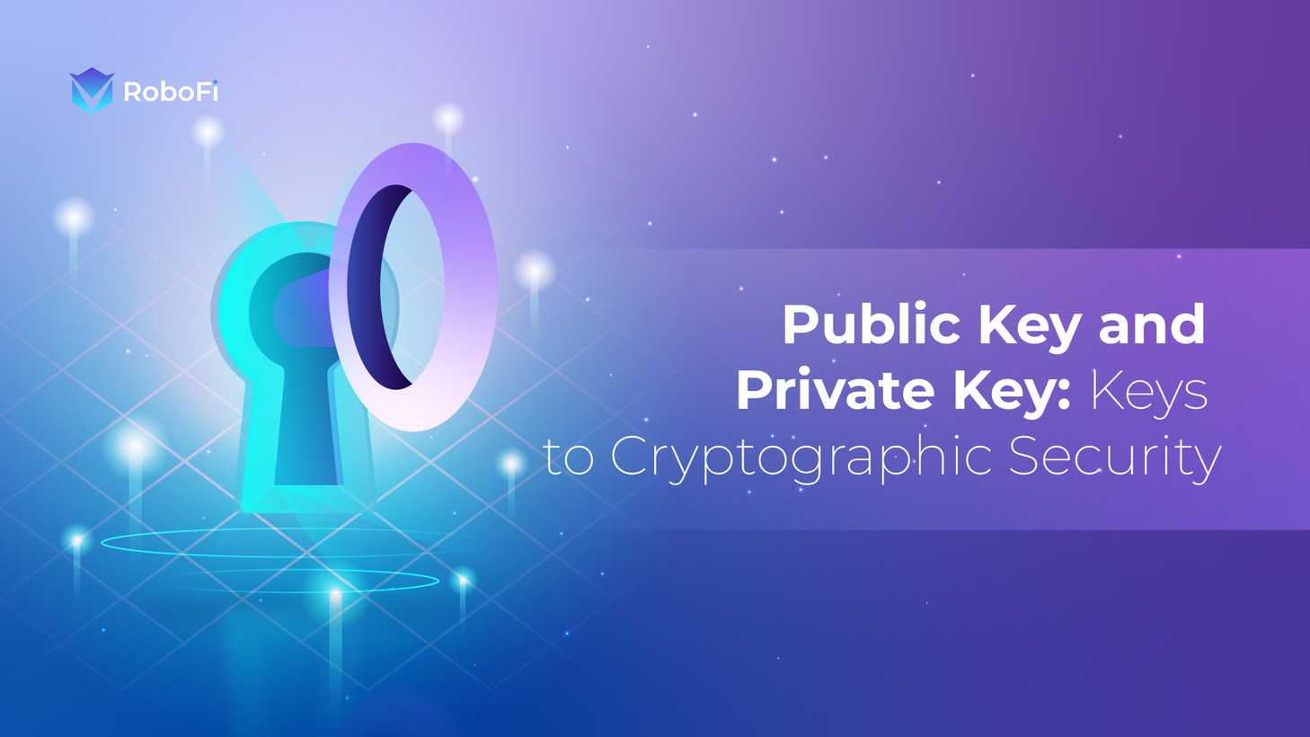 Public Key and Private Key: Keys to Cryptographic Security - RoboFi