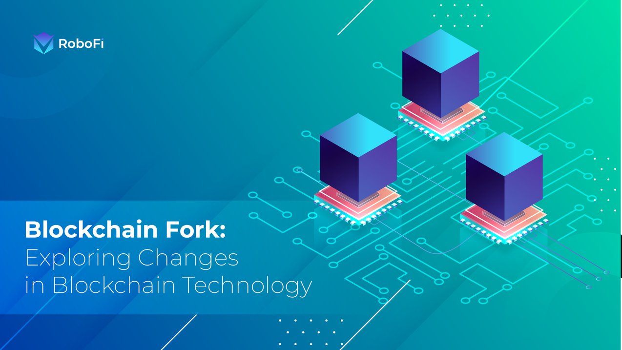 What is a Blockchain Fork? A Beginner’s Guide - RoboFi